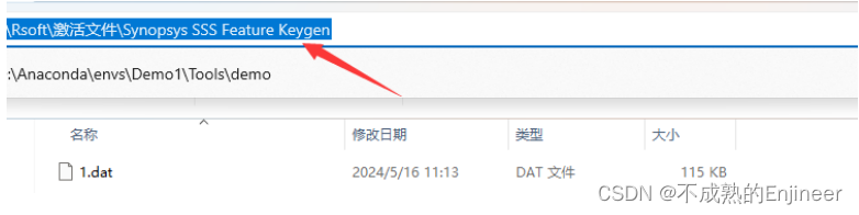 Rsoft软件安装教程-CSDN博客