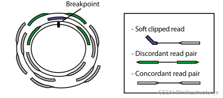 生信学习--Circle-Map输出的bed文件的结果解读_discordants>=2,split reads>=2-CSDN博客