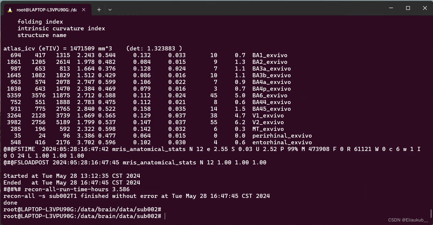 Freesurfer的基本使用（基于WSL2）_freesurfer wsl-CSDN博客
