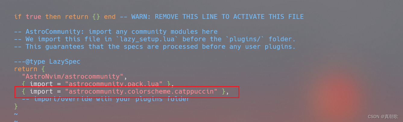 开发环境分享——AstroNvim（neovim的下载和Astronvim的配置）-CSDN博客