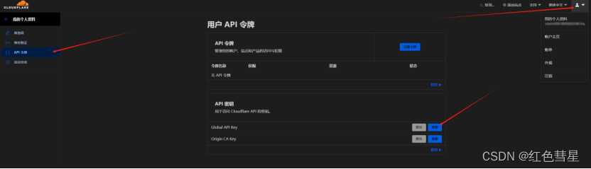 利用Cloudflare搭建DDNS教程(Ubuntu&Debian&Alpine系统)_cloudflare ddns-CSDN博客