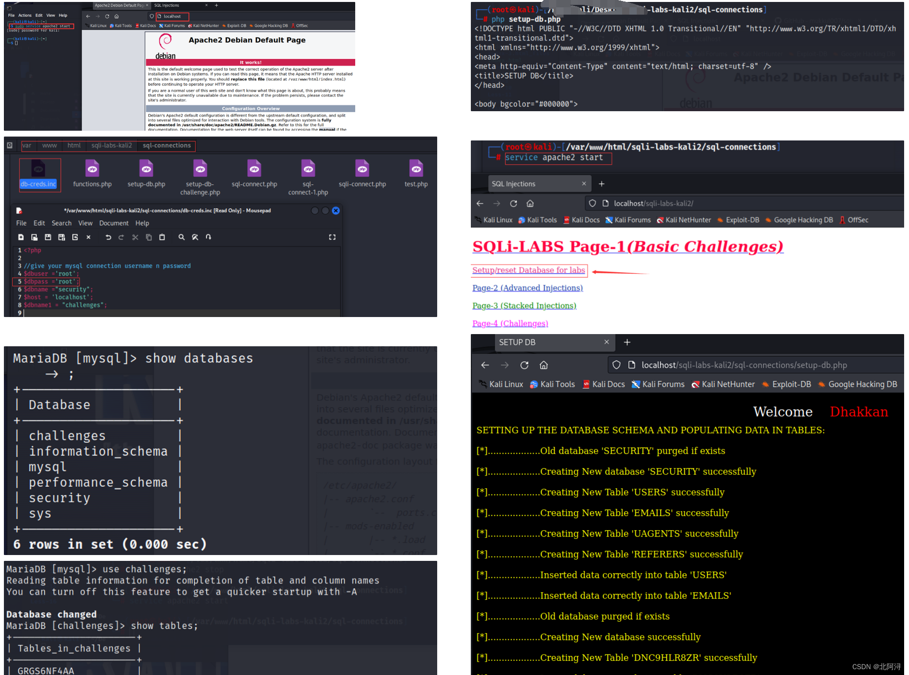 关于在 kali 下使用 sqli-labs 和一些使用时产生的问题及其解决方法_最新版本kali搭建sqli-labs-CSDN博客