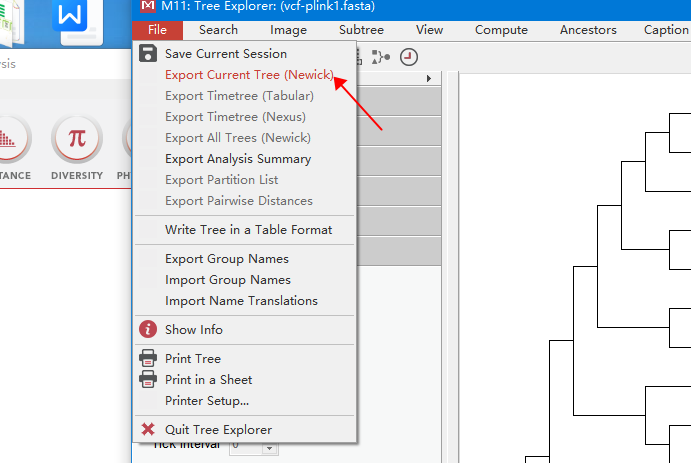 【软件使用-MEGA】如何基于ML方法构建进化树_mega进化树-CSDN博客
