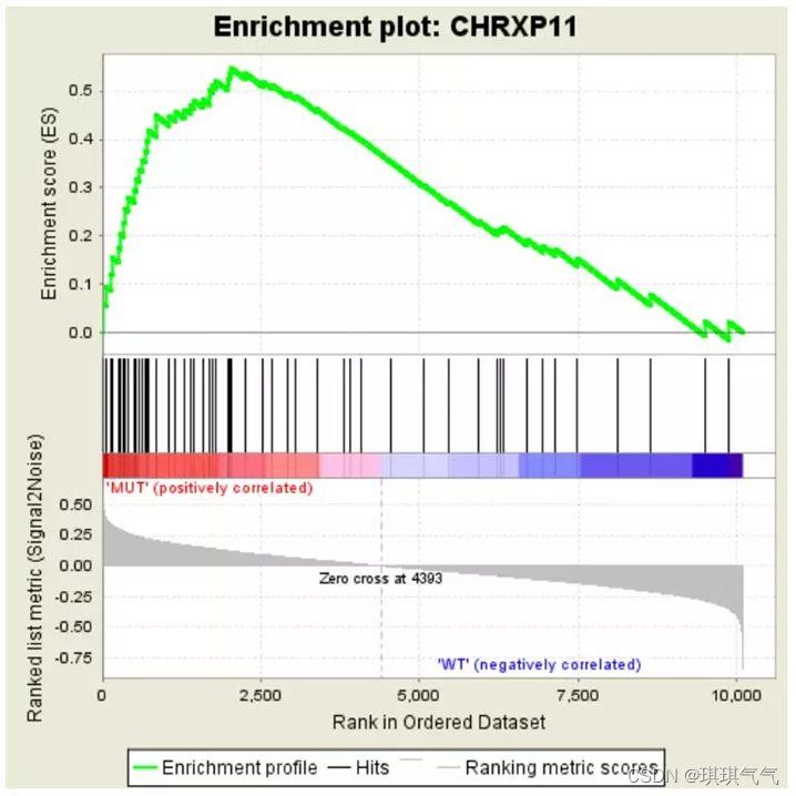 GSEA和KEGG以及GO的区别_gsea与kegg的区别-CSDN博客
