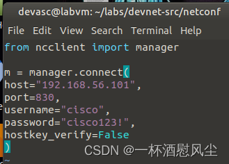 使用NETCONF访问IOS XE设备【实验笔记】_思科netconf-CSDN博客