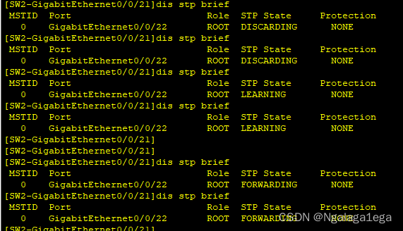 STP原理验证实验_总结stp的tcm机制-CSDN博客