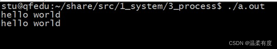 fork函数与vfork函数_vfork fork-CSDN博客
