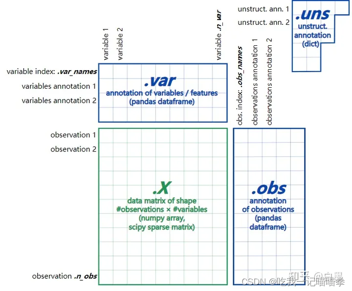 2分钟了解Anndata-CSDN博客
