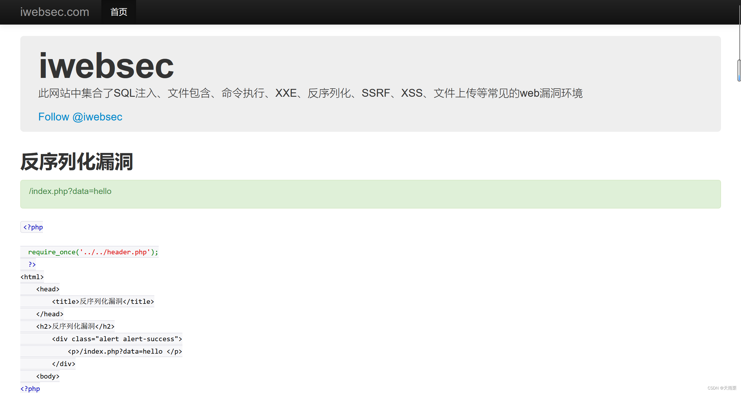 iwebsec反序列化02-CSDN博客