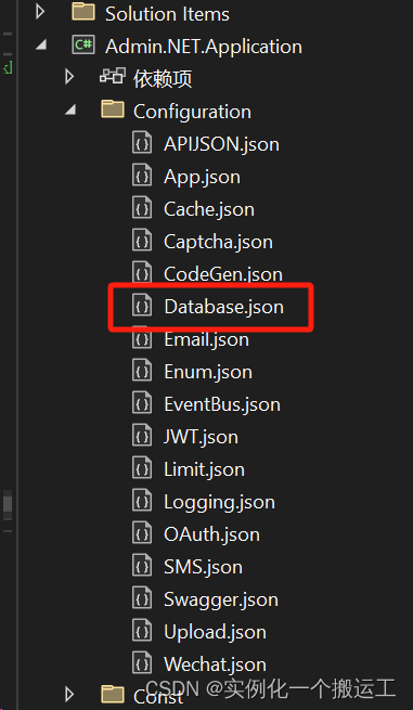 Admin.NET框架笔记-配置和启动_adminnet框架-CSDN博客
