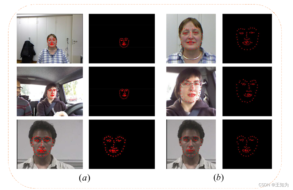 6DFLRNet: 6D rotation representation for head pose estimation based on facial landmarks and ...
