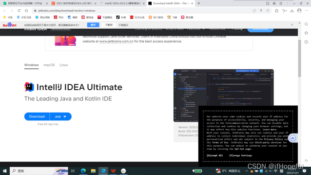 IDEA安装与JDK11安装详细教程_idea下载jdk11-CSDN博客