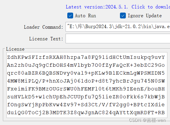 Burp Suite Professional v2024安装及激活-CSDN博客
