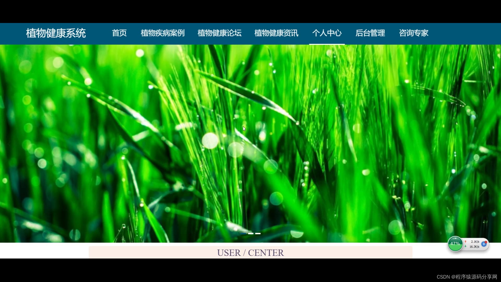 Springboot植物健康系统源码和论文基于springboot技术的植物科普系统的设计与实现论文 Csdn博客