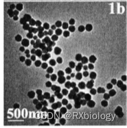 油溶性Oleic acid modified Fe3O4 nano（90nm）,油酸修饰四氧化三铁100nm-CSDN博客