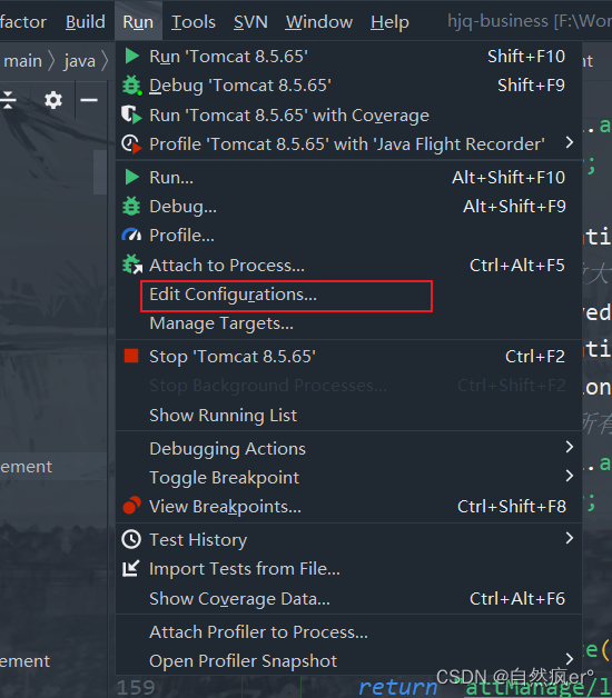 idea中Debug启动tomcat的时候会自动跳转到DualStackPlainSocketImpl的debug页面_idea点击启动方法会跳转-CSDN博客