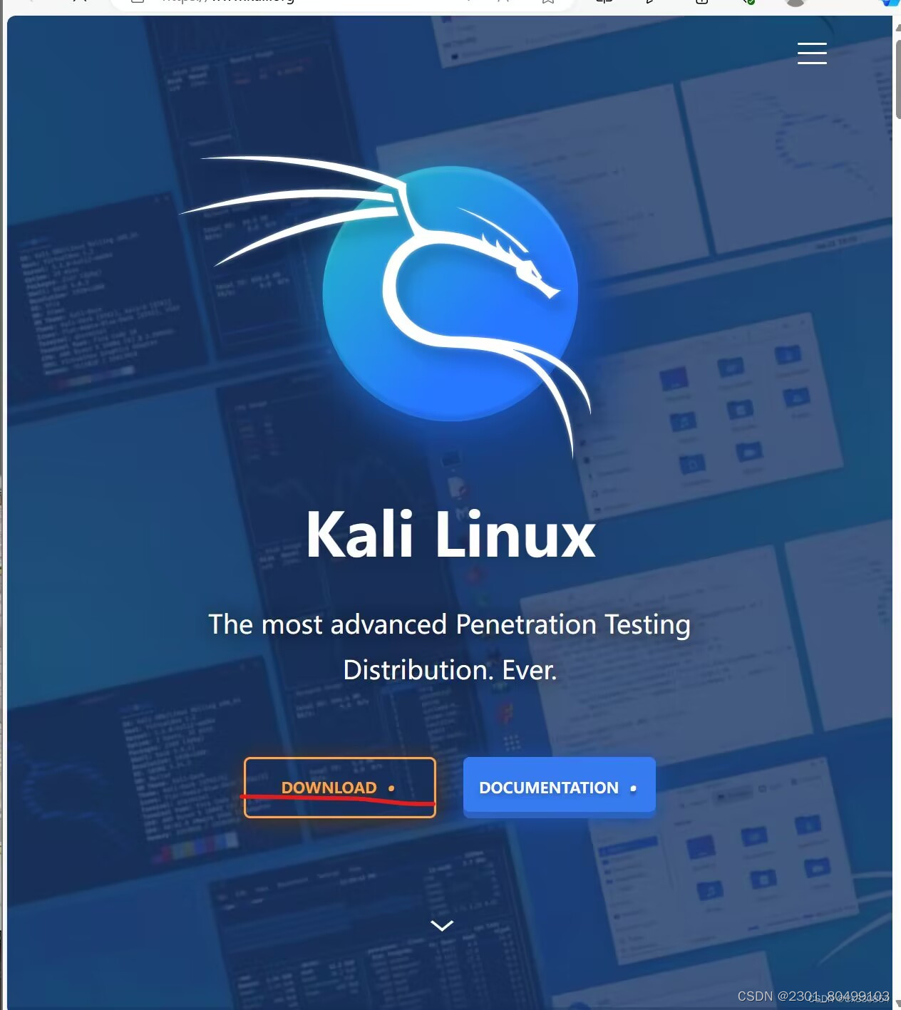 VMware的下载及安装以及安装KALI LINUX_vmware下载kali-CSDN博客