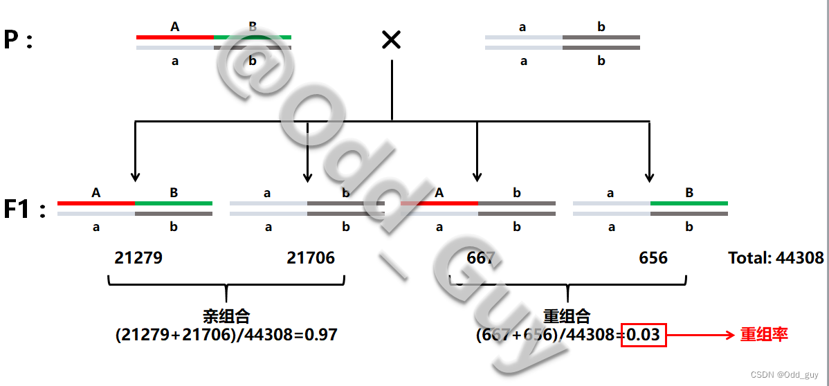 连锁不平衡及LD decay analysis-CSDN博客