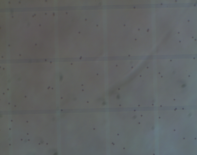 halcon 背景网格产品刮伤缺陷检测__halcon 网状格子检测-CSDN博客