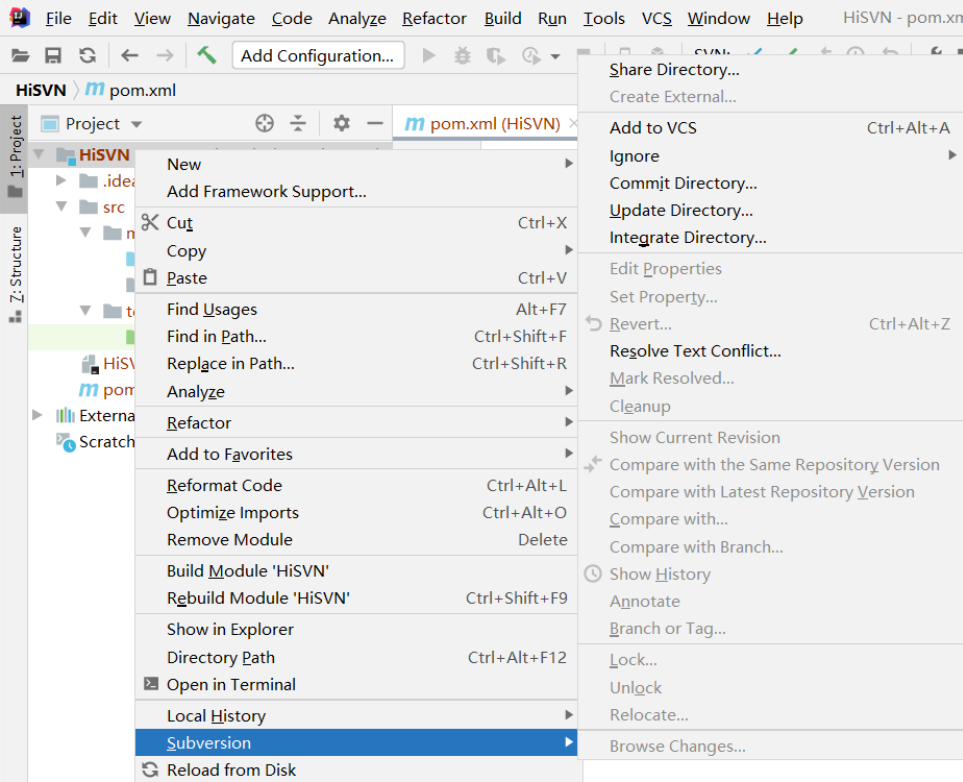 IDEA中集成使用SVN_idea集成svn-CSDN博客