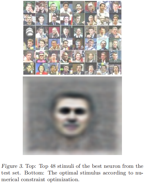 【论文学习】《Building High-level Features Using Large Scale Unsupervised Learning》-CSDN博客