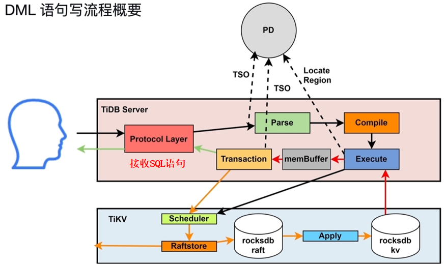 数据库sql执行流程dm数据库执行sql文件 Csdn博客