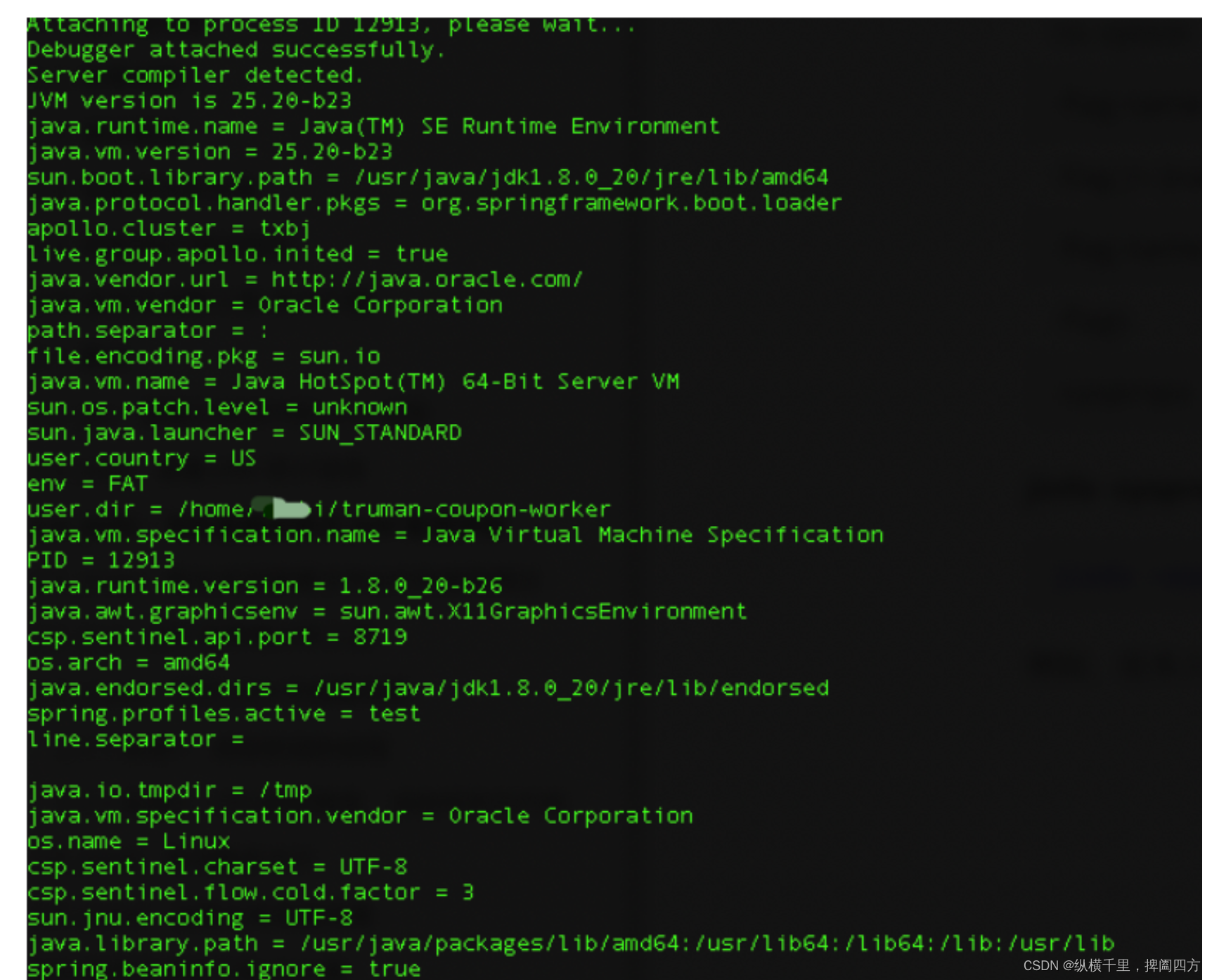 一文搞定JVM常见工具和优化策略_使用到jvmti的工具有哪些-CSDN博客