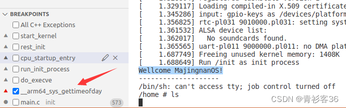 Linux- 分析 time/gettimeofday 系统调用在 ARM64 Linux 中的执行过程_linux gettimeofday-CSDN博客