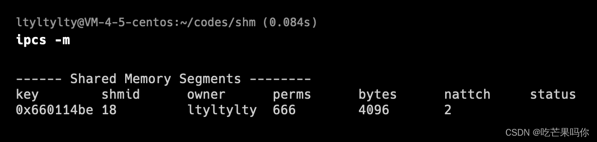 System V——共享内存_system v shared memory-CSDN博客