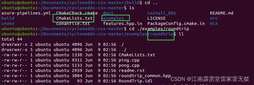 CycloneDDS(C++版本)开源代码在Linux(X86平台)系统上编译生成可执行文件的详细步骤_cyclone dds-CSDN博客