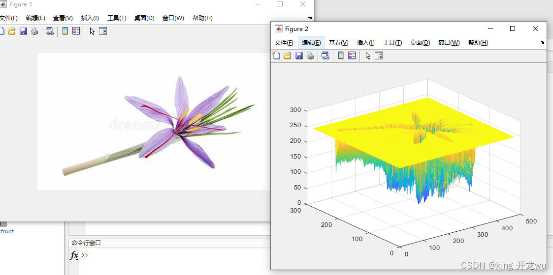 matlab中图像分割技术之三分水岭分割法_二次分水岭算法-CSDN博客