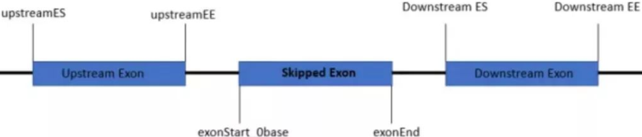 可变剪接分析流程（rMATS）-CSDN博客