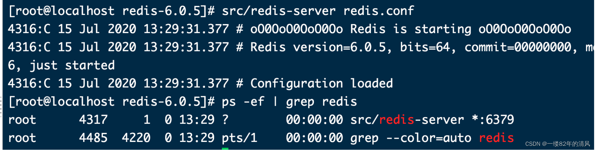 Linux系统安装redis6 0 5 Sudo Yum Install Y Redis 6 0 5 Last Metadata Ex Csdn博客