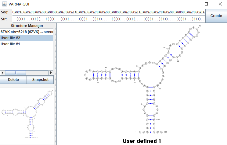 20211221 - 可视化RNA二级结构-主要是arc diagram_已知二级结构的rna怎么画图-CSDN博客