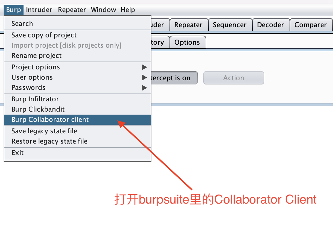 CTFSHOW-PHP特性_payload bool(true)-CSDN博客
