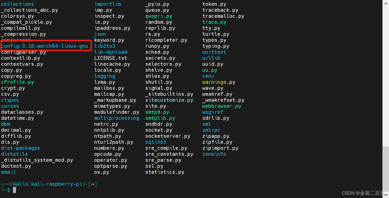 在树莓派上安装编译的vim——开启python3支持_树莓派64安装vim-CSDN博客