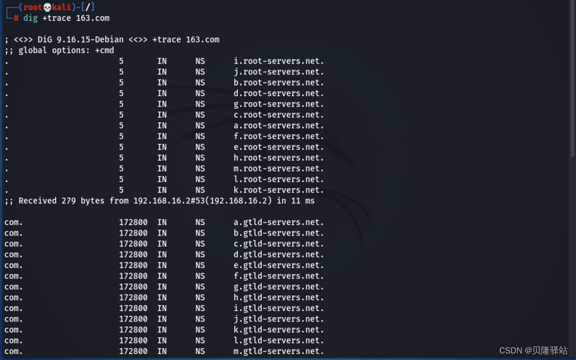 DNS信息搜集方法_通过dig查询bind版本-CSDN博客