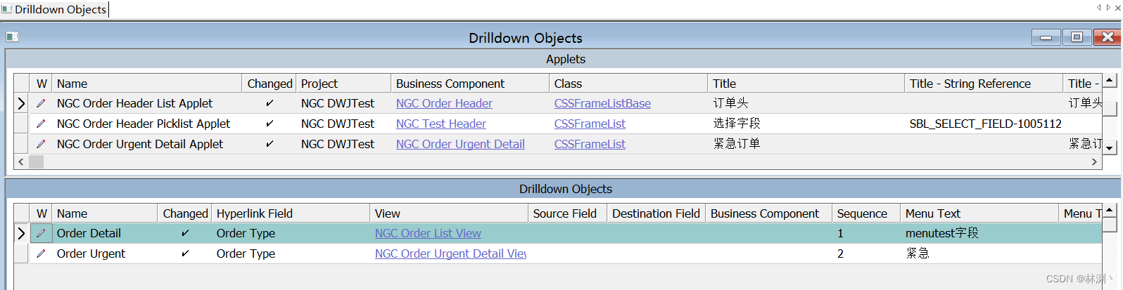 SIEBEL配置学习笔记-CSDN博客