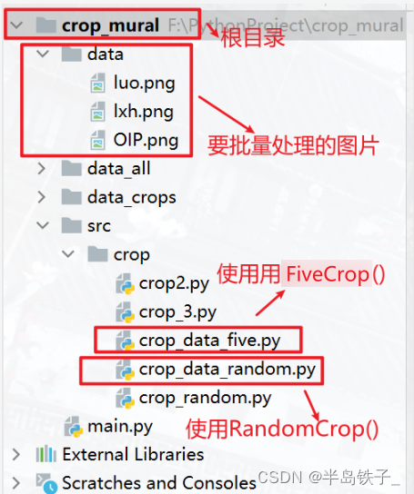 【数据增强】 使用 Pytorch 批量裁剪文件夹里图片并保存 批量裁剪图片软件 深度学习 Csdn博客