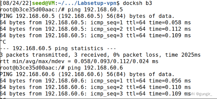 seedlab:V** tunneling The Container Version_seedlab:virtual private network lab-CSDN博客