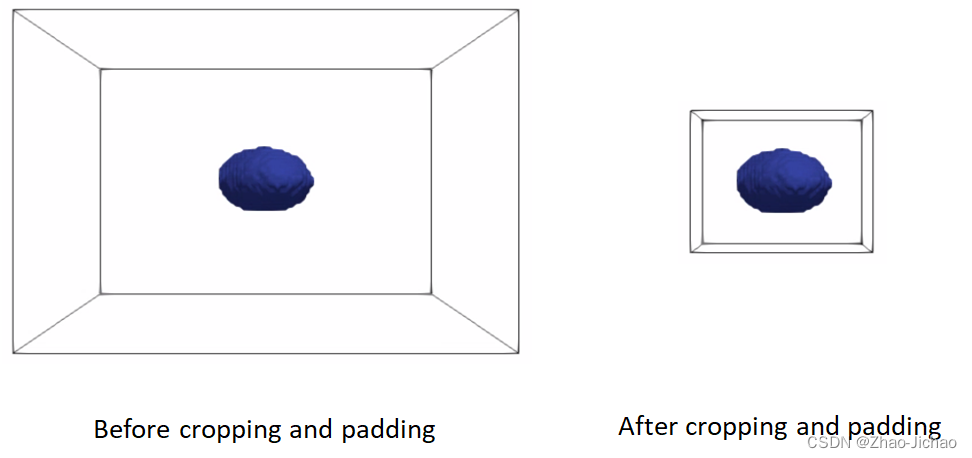 【ShapeWorks】2. 工作流的三板斧 - How to Groom Your Dataset?-CSDN博客
