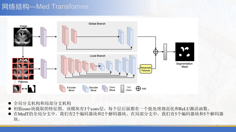 论文阅读Medical Transformer: Gated Axial-Attention for Medical Image Segmentation-CSDN博客