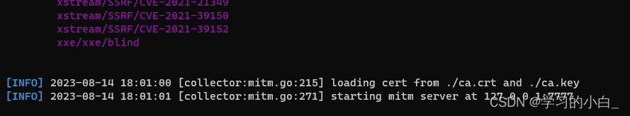 Xray——Windows及Linux安装_xray安装教程-CSDN博客