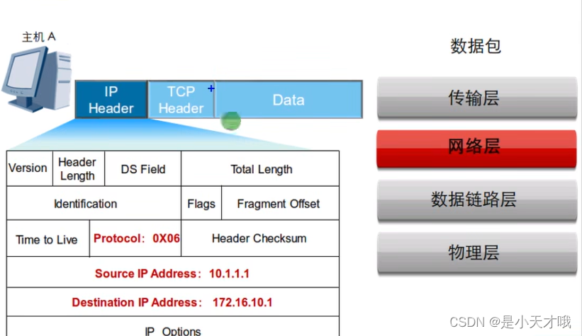 HCIA-数据转发流程-CSDN博客