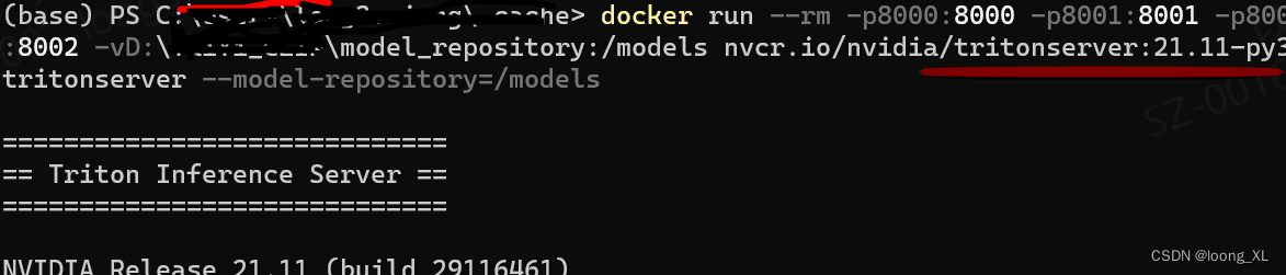 Triton 模型推理使用案例、tritonclient https，grpc访问；导出onnx指定输入维度可变dynamic_axes_triton client_loong_XL的博客 ...