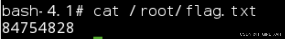 系统安全实验——Path2_path实验-CSDN博客