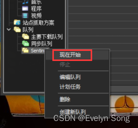 IDM+Python批量自动化下载哨兵5号数据_python idm库-CSDN博客