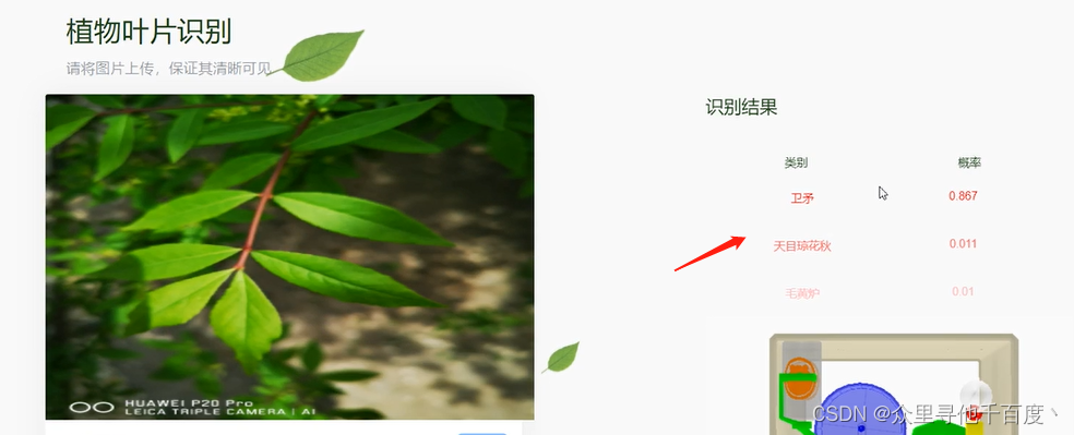 【识别系统】物品智能识别系统（以植物叶片为例）（可执行文件源程序操作说明技术文档）python视觉识别树叶 Csdn博客