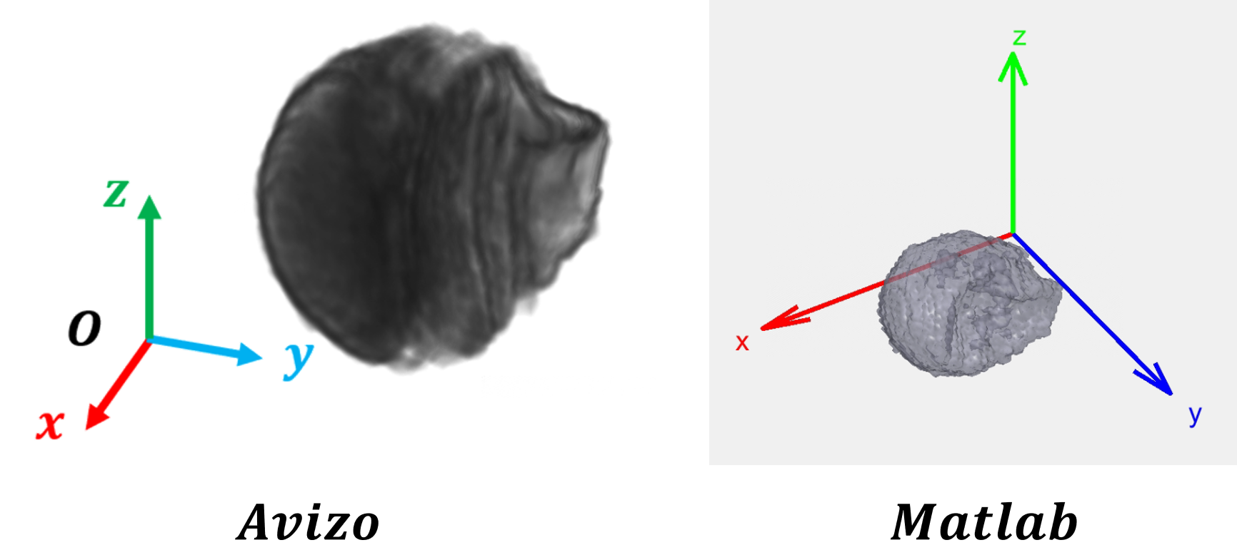 （一）dcm格式医用CT图像处理：avizo与matlab_ct数据处理代码-CSDN博客