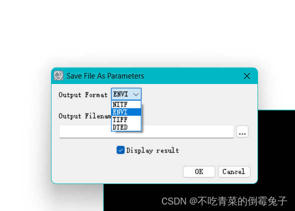 DEM数据的下载和导入到SARscape_sarscape下载dem-CSDN博客